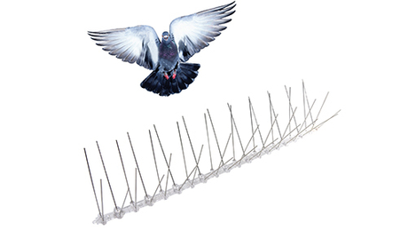 Why use bird spike - professional sincerity building hardware