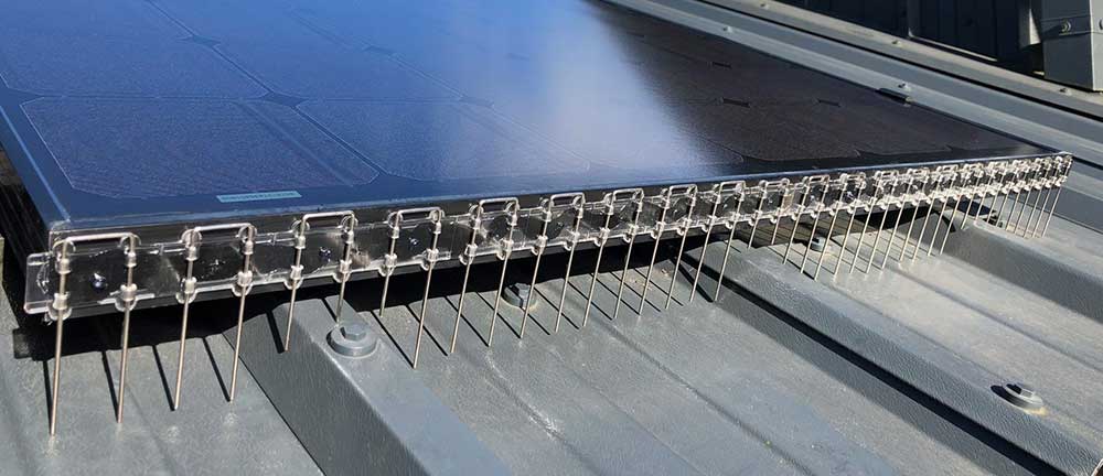 Our New Products – Adjustable Bird Spikes for Solar Panels ...